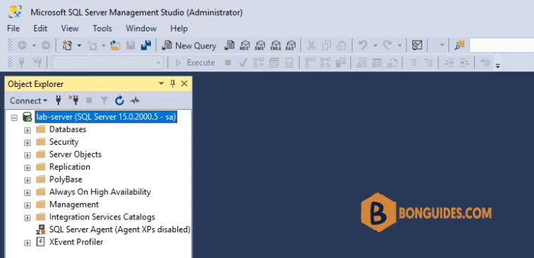 How to download and install SQL Server Management Studio