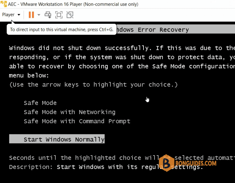Cannot Access the File Because Another Process Locked The File in VMware