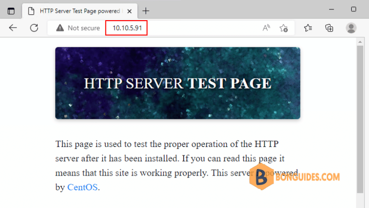 Script How To Install Lemp Stack On Centos 9rhel 9