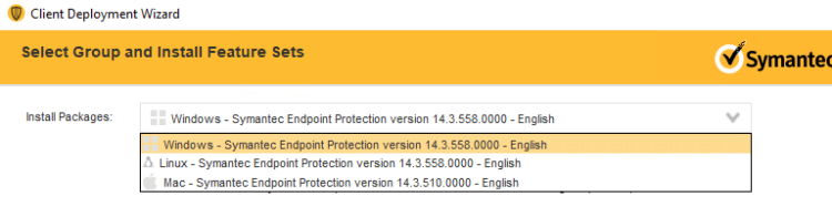 How to Install Symantec Endpoint Protection Manager in Windows Server